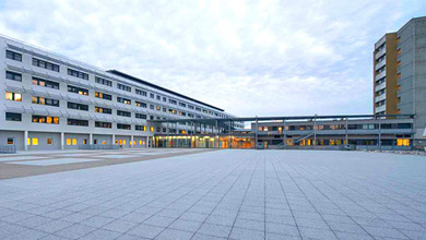 Les centres de compétences - CRMR Wilson